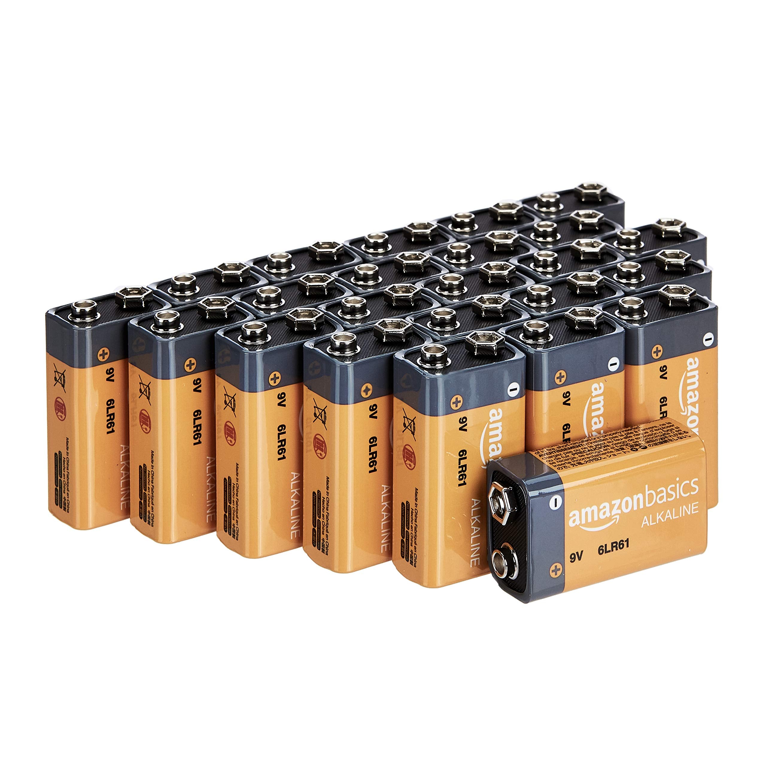 Amazon Basics 9 Volt Performance All-Purpose Alkaline Batteries, 5-Yea ...